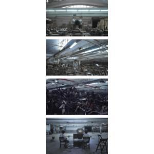 JIEREN Chen (1960) pittore, fotografo, prezzi, quotazioni, aste ...