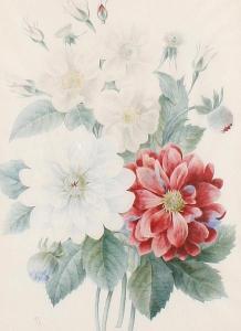 REDOUTE Antoine Ferdinand acquarellista, Aste