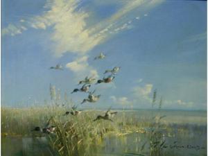 Vernon Ward - Alchetron, The Free Social Encyclopedia